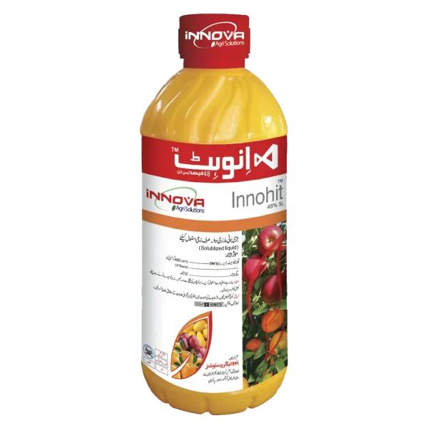 Innohit – Innova Pakistan