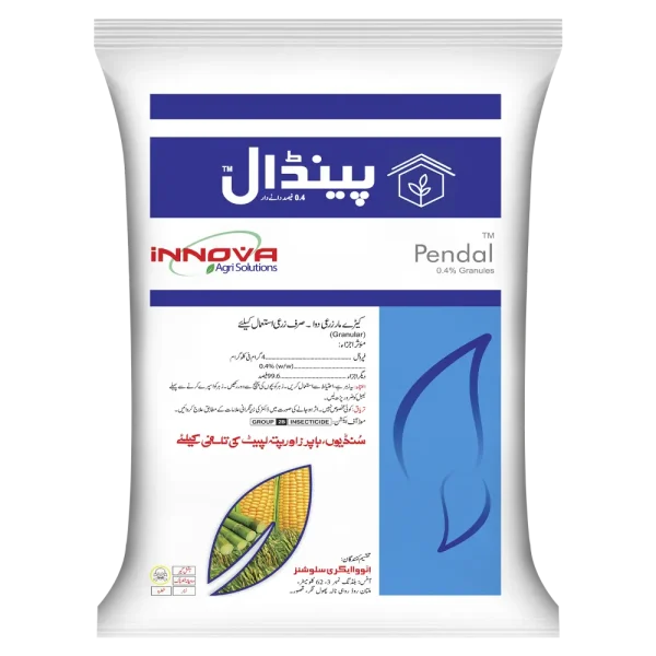 Pandal – Innova Pakistan